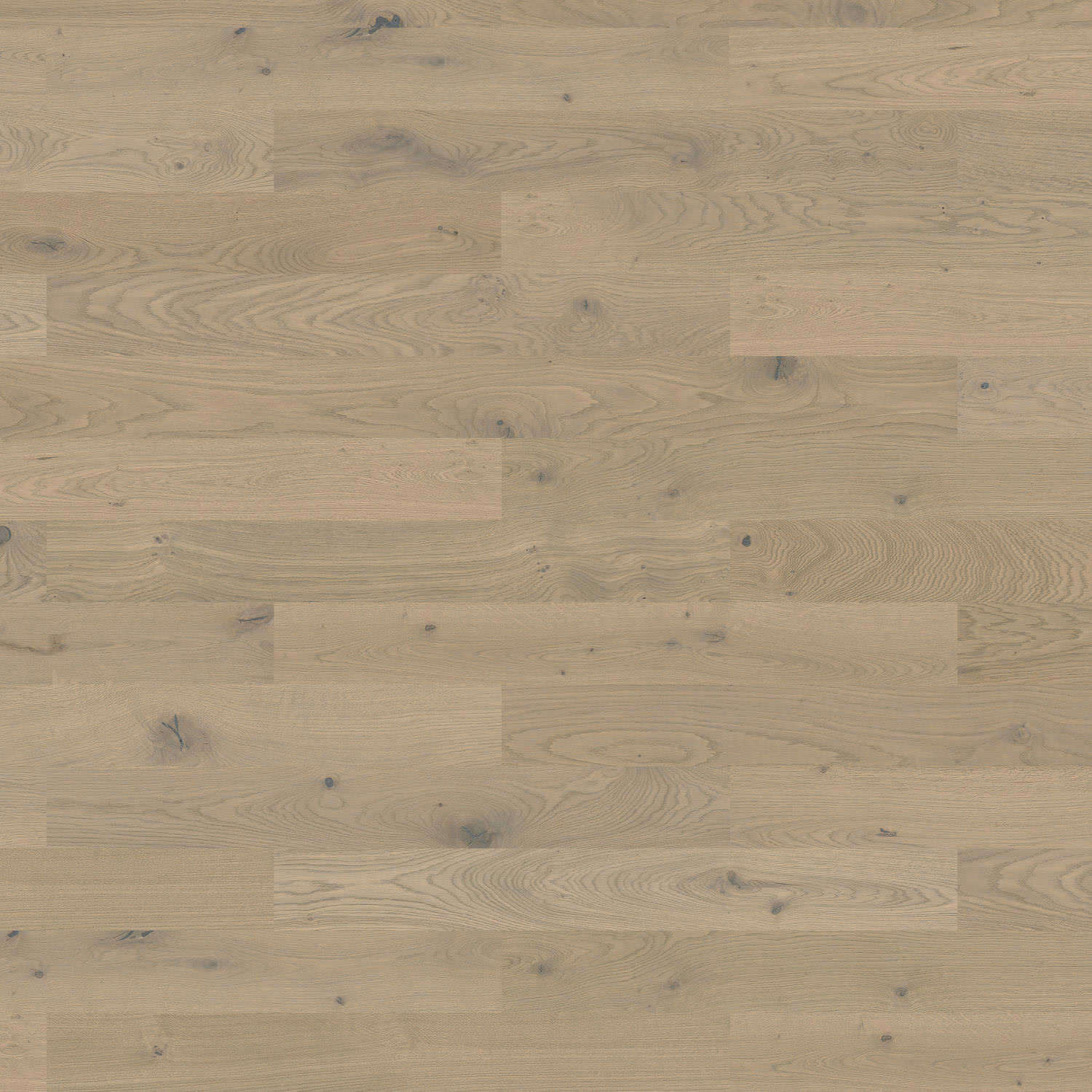 543509 - HARO PARQUET 4000 Plank 1-Strip Prestige Oak Sand Grey Sauvage ...