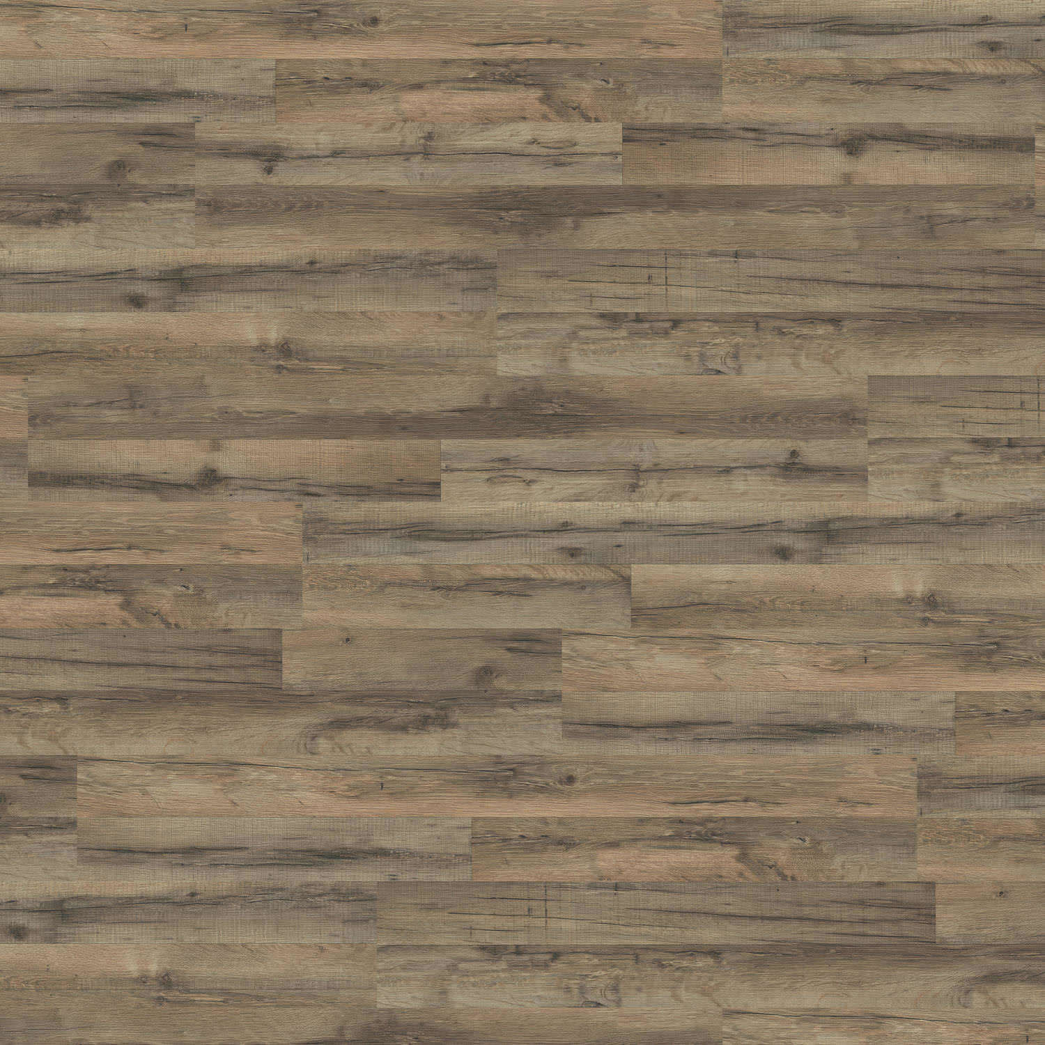 HARO Laminate Floor Special Edition NKL31 2-Strip Graphite Oak ...