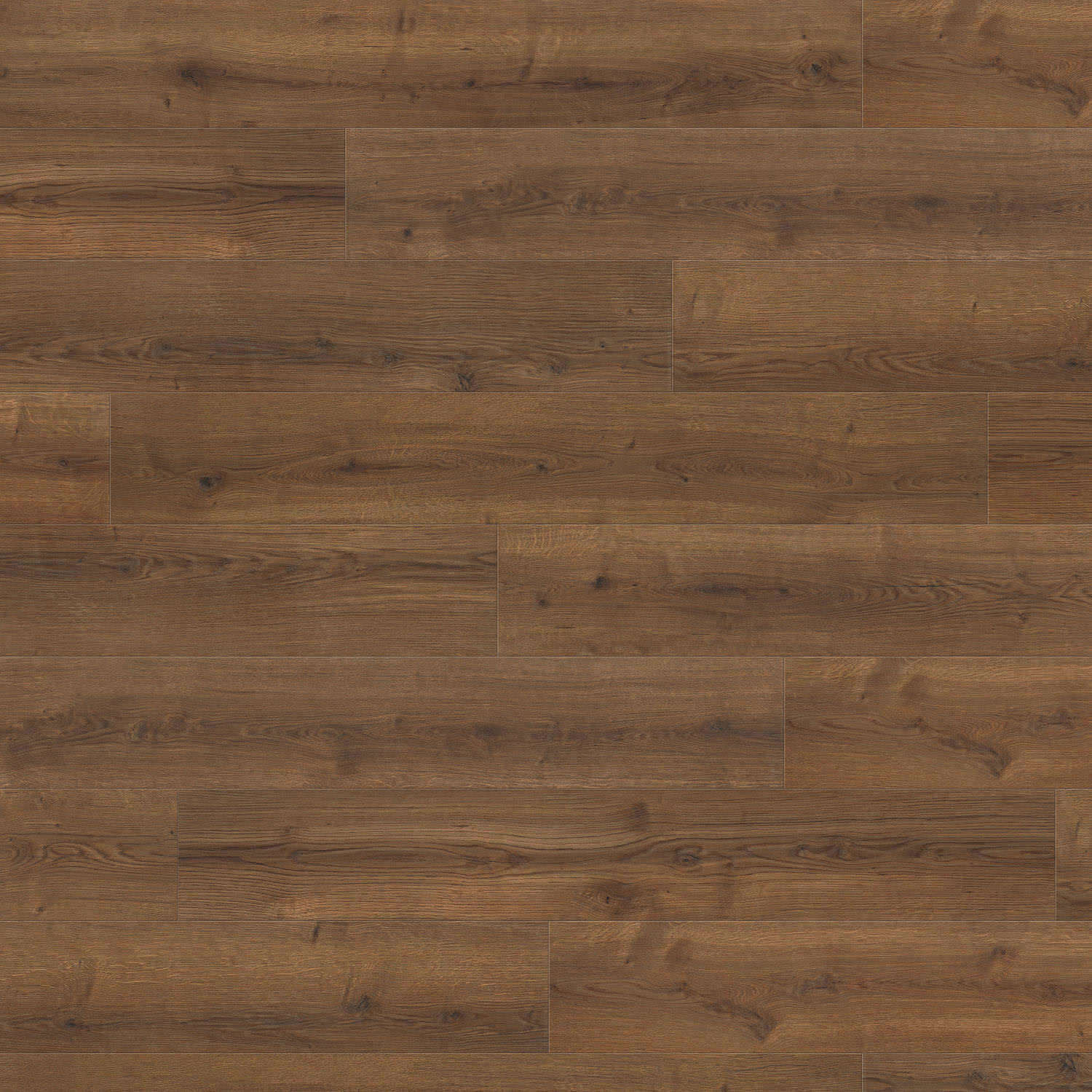 HARO Laminate TRITTY 90 Plank 1-Strip 4V Oak Bari Amber* authentic Top ...