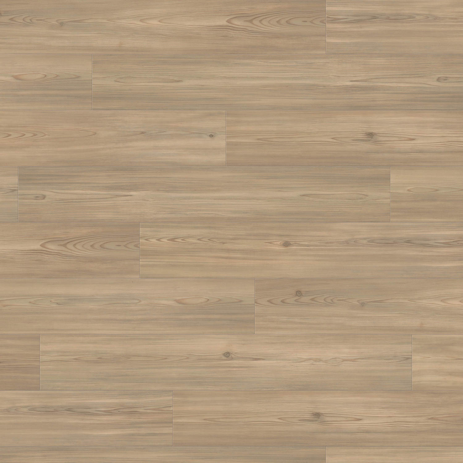544688 - HARO Laminate Floor TRITTY 90 Plank 1-Strip 4V Pine Florence ...