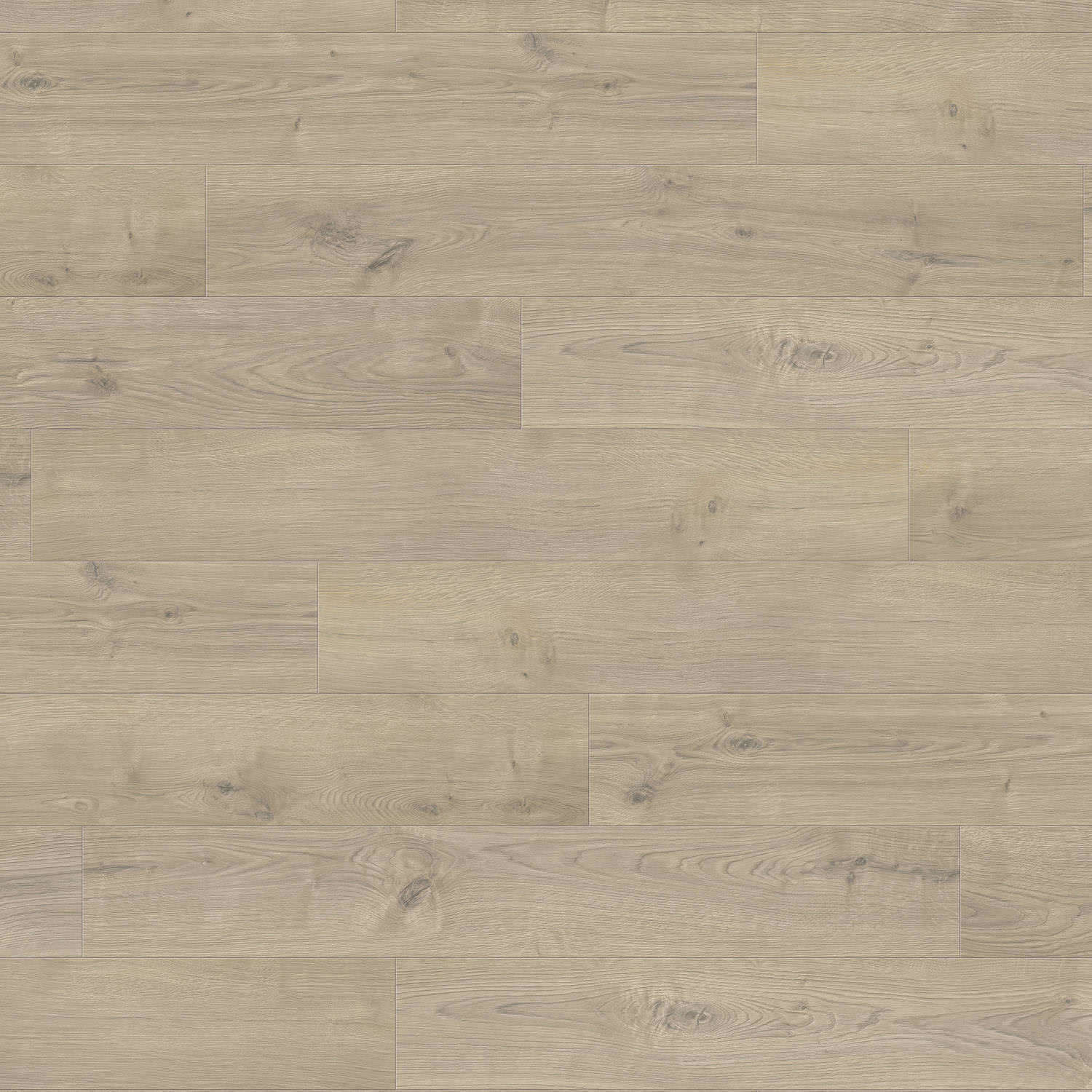 544698 - HARO Laminate Floor TRITTY 90 Plank 1-Strip 4V Oak Torri Grey* authentic Silent CT Top ...