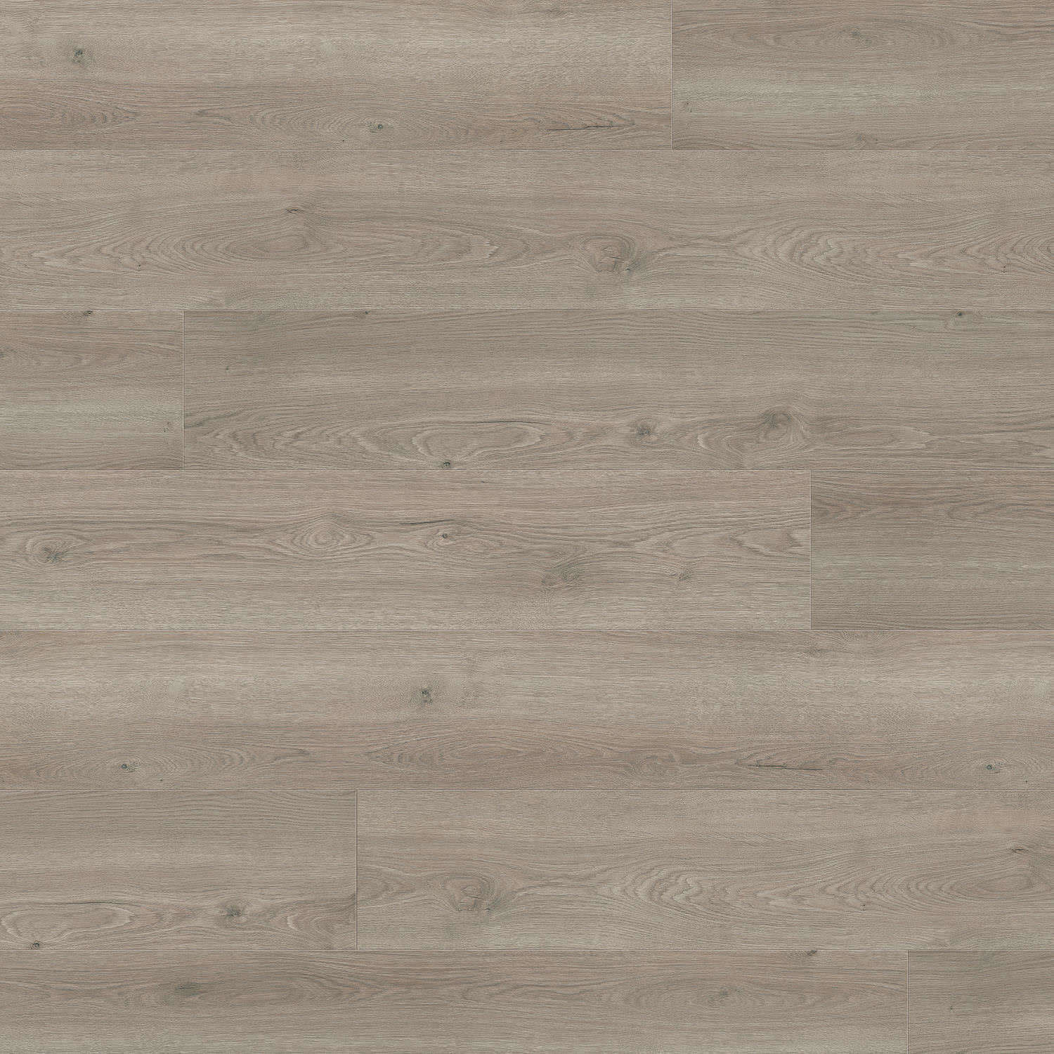 544790 - HARO Laminate Floor TRITTY 200 Aqua Gran Via 4V Oak Flavia Grey* authentic Top Connect ...